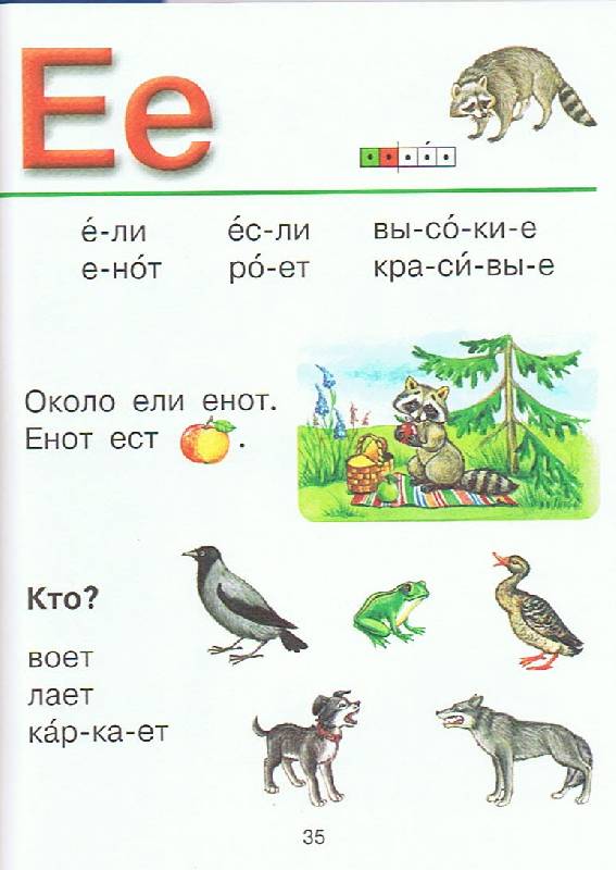 Букварь с крупными буквами (Павлова Н.Н.) – Sadko