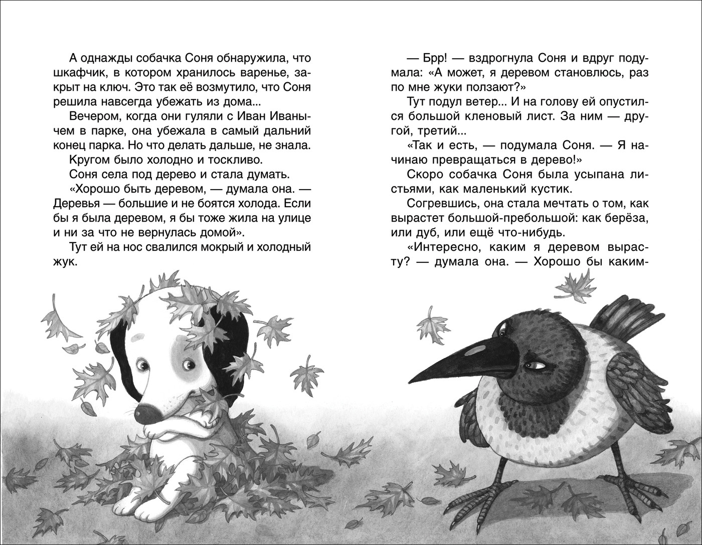 Умная и знаменитая собачка Соня – Sadko