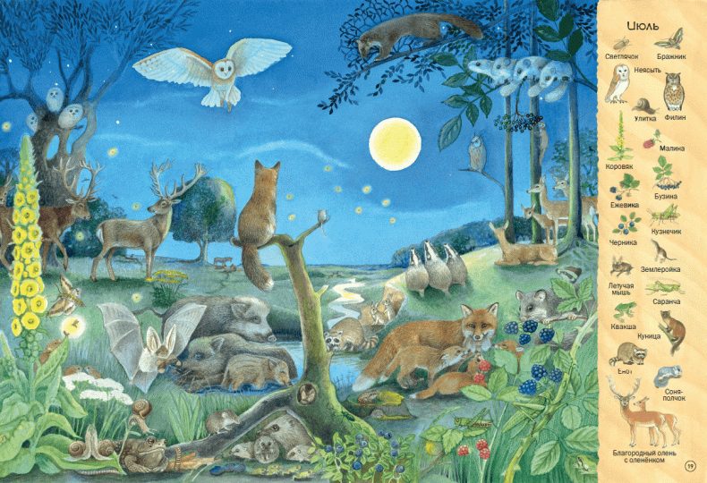 Большая книга времен года – Sadko