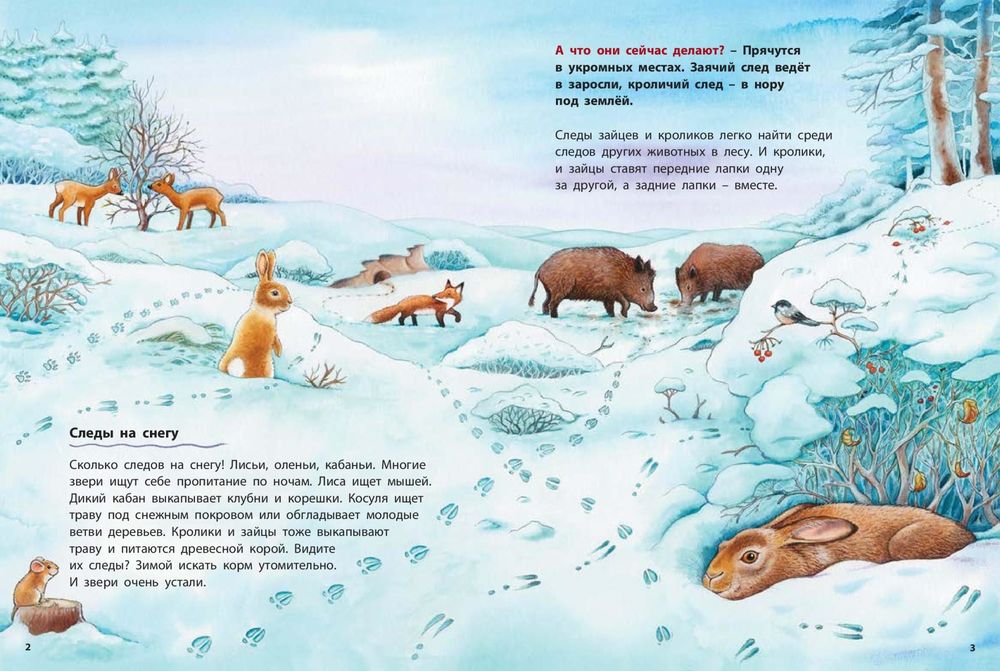 Как живут кролики и зайцы. Познавательные истории (Райхенштеттер ...
