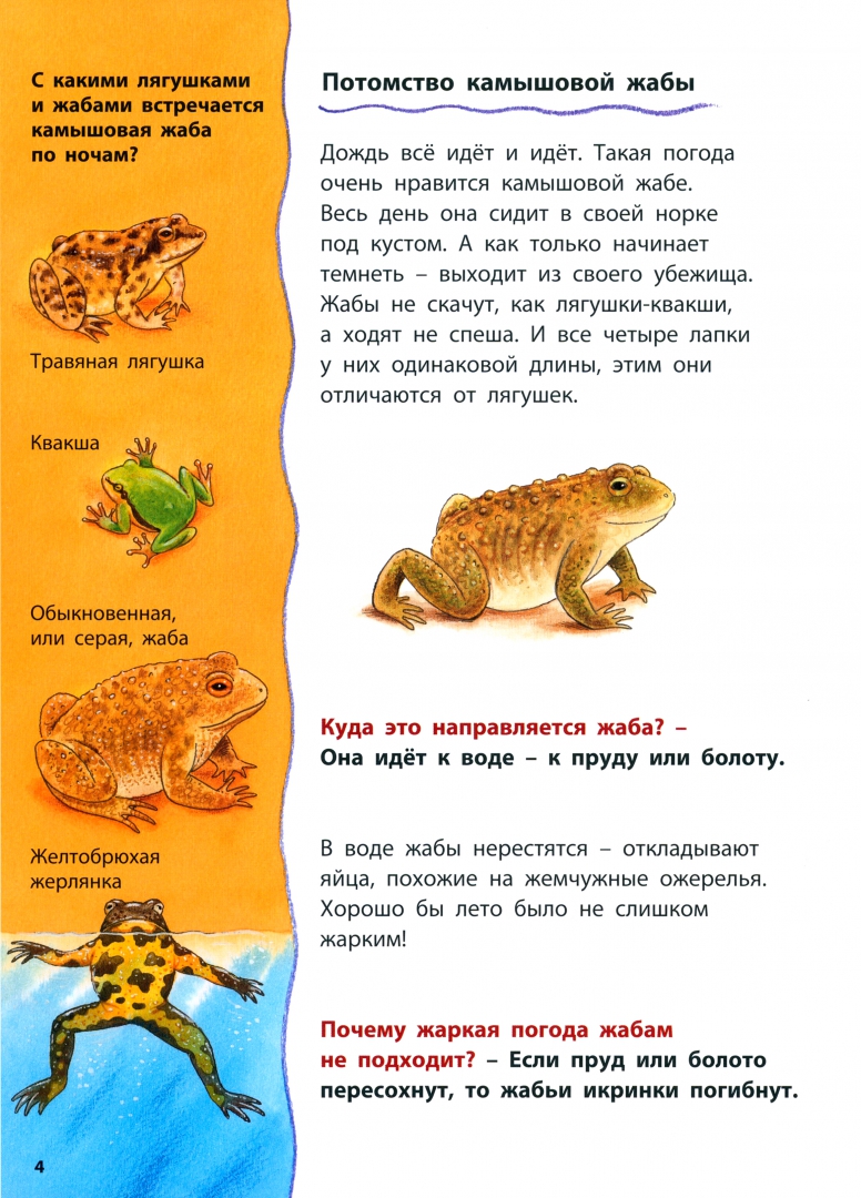 Совы и другие ночные животные. Познавательные истории (Райхенштеттер ...